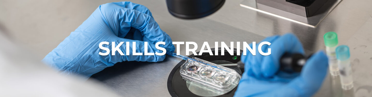 SKILLS TRAINING / COURSES – ARTLAB